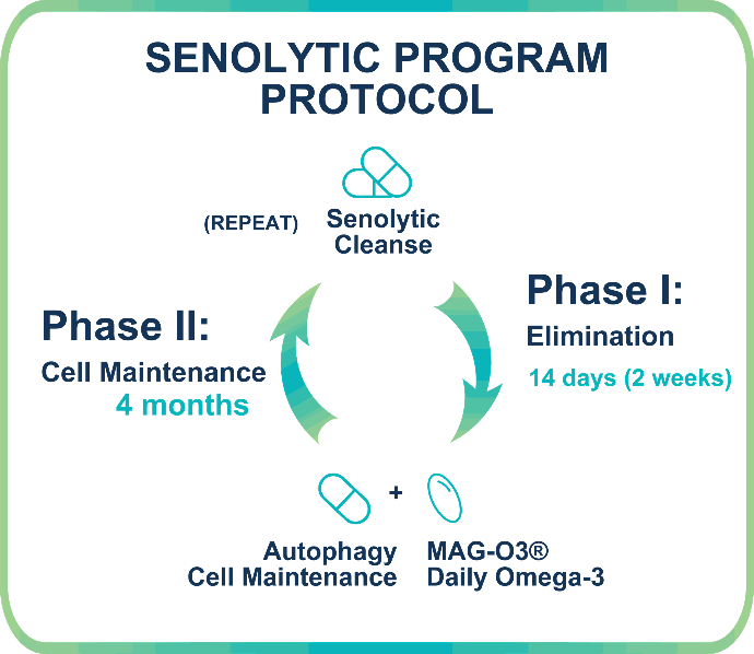 Discover Our Senolytic Cellular Program - Anti-Aging Supplements